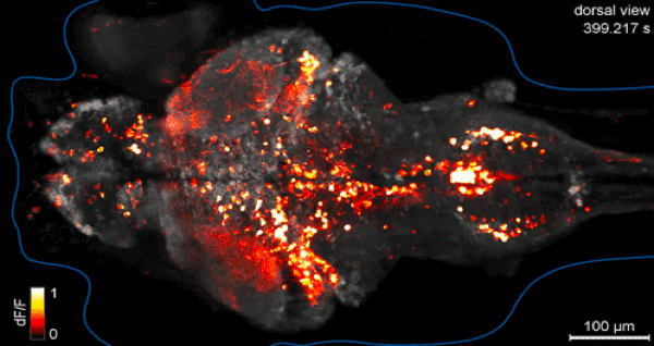 10 Of The World's Most Fascinating Unsolved Problems