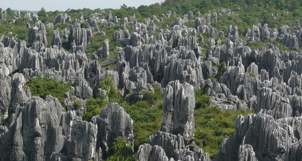 This Ancient Chinese Stone Forest Will Take You By Surprise