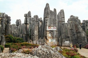 This Ancient Chinese Stone Forest Will Take You By Surprise