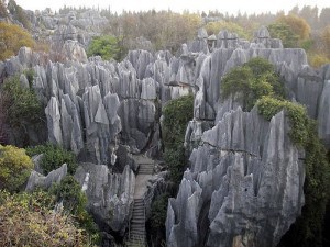 This Ancient Chinese Stone Forest Will Take You By Surprise