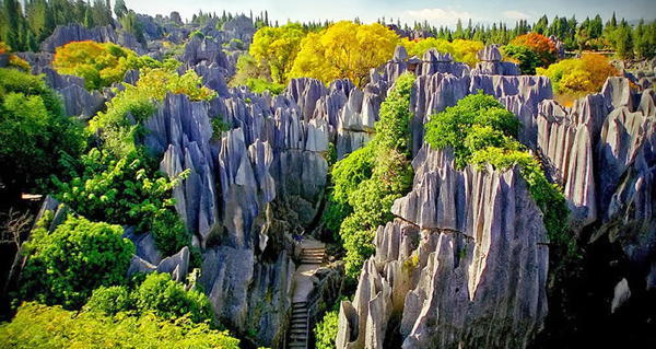 This Ancient Chinese Stone Forest Will Take You By Surprise