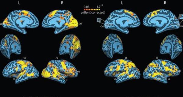 Human Echolocation: How The Blind Can "See"