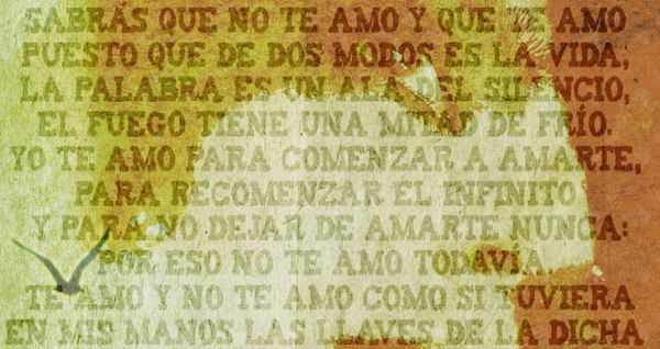 10 Modern Spanish-Language Writers To Read Before You Die