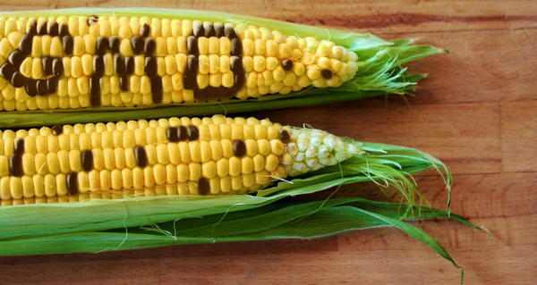 The GMO Foods Controversy: What It Is And Why It's Wrong