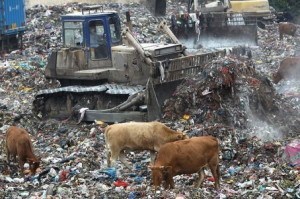 Littering In China: A Surreal Epidemic Captured In Photos