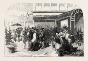 The History Of The Christmas Tree, From Pagan Origins To Today