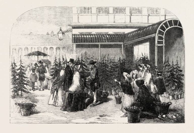 The History Of The Christmas Tree, From Pagan Origins To Today