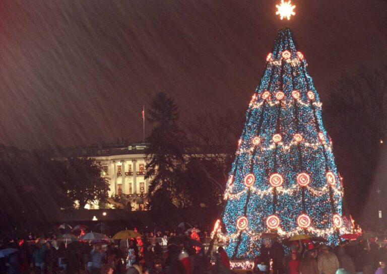 The History Of The Christmas Tree, From Pagan Origins To Today