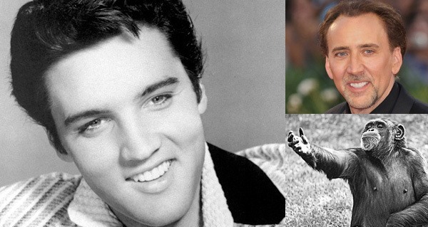 25 Interesting Elvis Presley Facts On His Twin, Last Words, And More