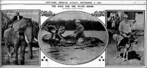 The True Story Behind That Picture Of Teddy Roosevelt Riding A Moose