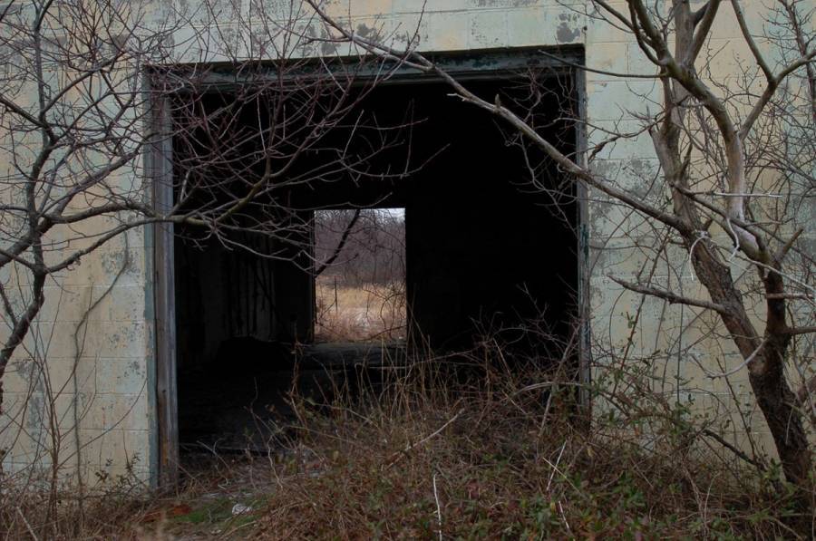 Places Reclaimed By Nature: Stunning Photos And Stories