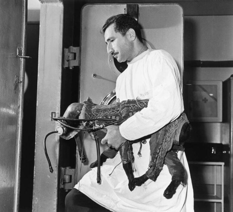 Laika, The Soviet Space Dog Sent On A Suicide Mission