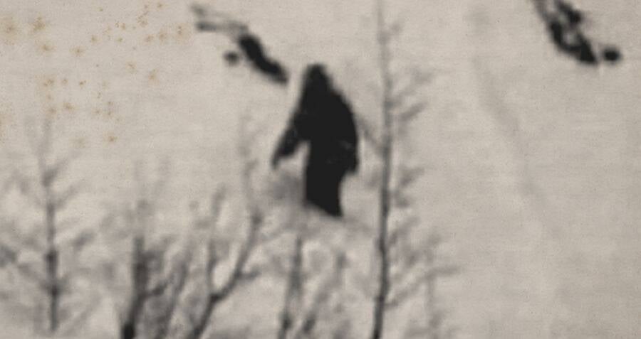 Yeti Sightings: Evidence That The Abominable Snowman Exists