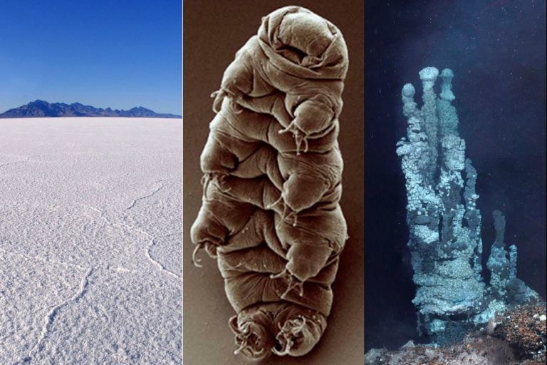 Three Places And Creatures From Earth That Imply Alien Life