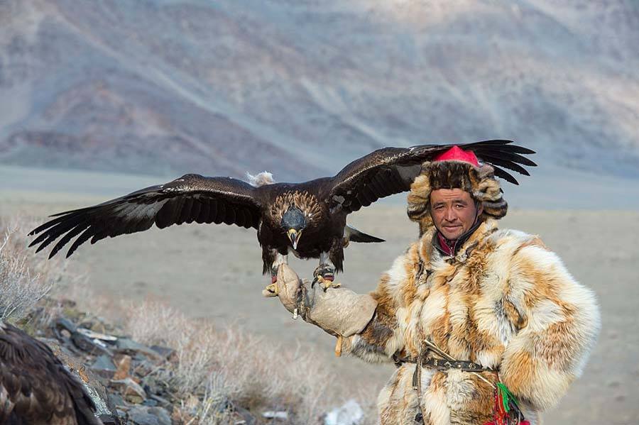 Mongolia's Golden Eagle Festival: 20 Stunning Photos