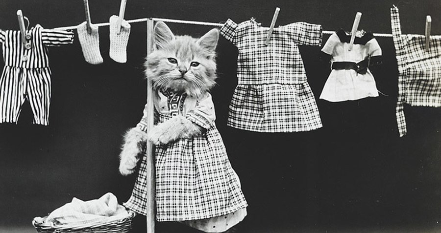 All That's Interesting, Something Interesting To Read Every Day