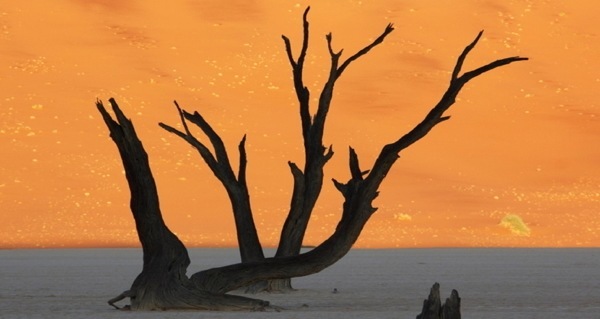 Surreal Landscapes: 21 Gorgeous Photos Of Earth's Weirdest Places