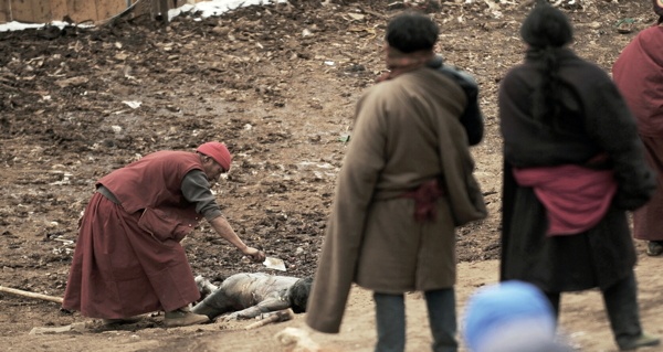 Richard Stockton, Author At All That's Interesting