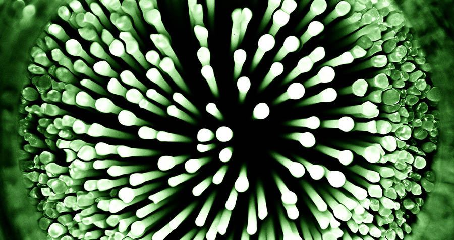 Superbugs: What They Are, And Why You Should Care About Them