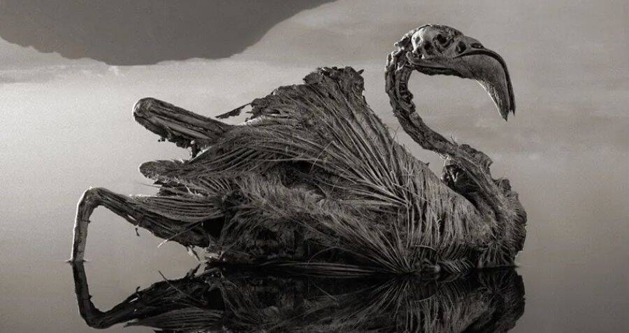 Lake Natron, Tanzania's Most Alkaline Body Of Water