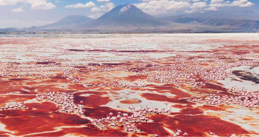Lake Natron, Tanzania's Most Alkaline Body Of Water