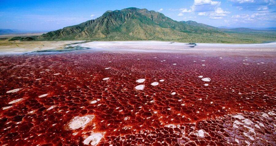 Lake Natron, Tanzania's Most Alkaline Body Of Water