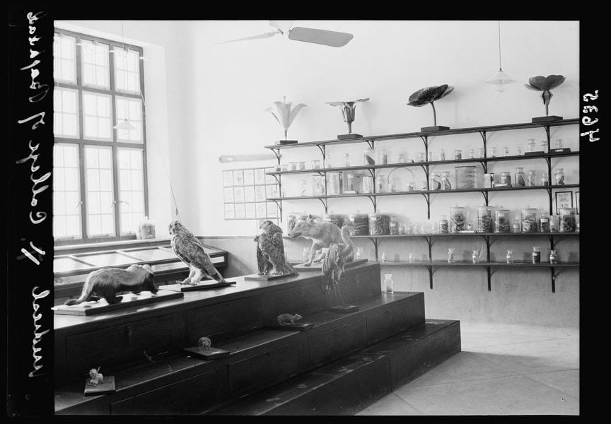 Surprising Vintage Photos Of Iraq Before Arab Nationalism