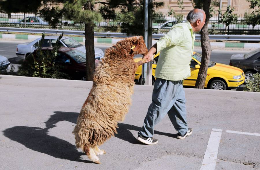 Eid al-Adha: Striking Photos And Facts From The Annual Muslim Festival