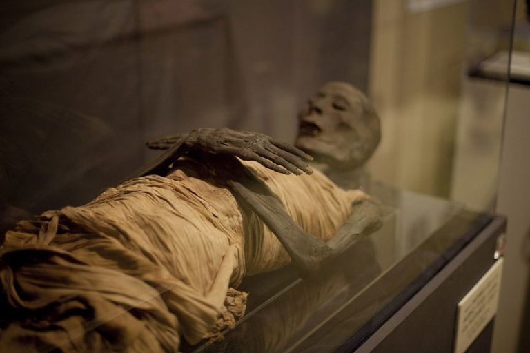 Did the Victorians Really Host Mummy Unwrapping Parties?
