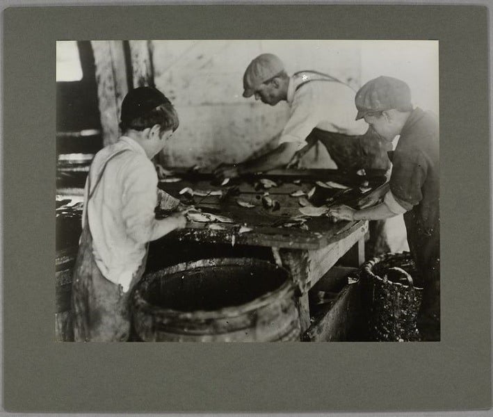 23 Lewis Hine Photos Of Child Labor That Shocked America