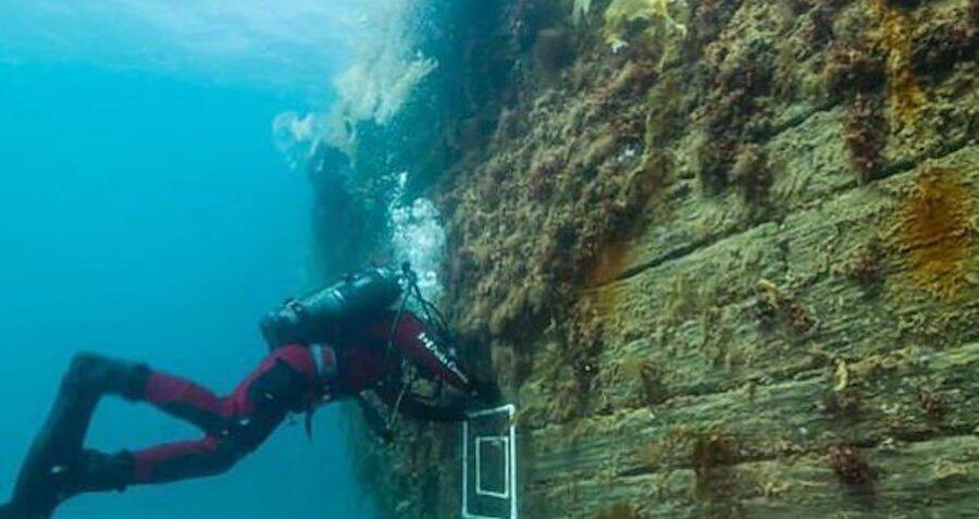 Meet John Torrington, The Ice Mummy Of The Doomed Franklin Expedition