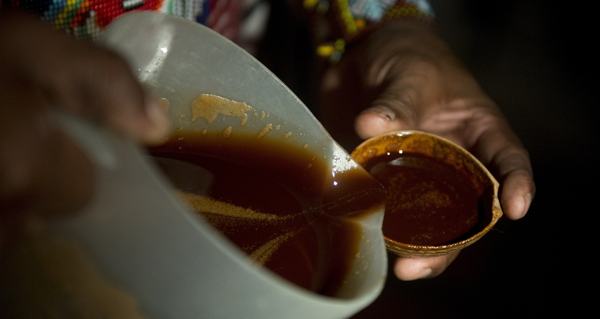 Ayahuasca, The Most Psychedelic Tea You'll Ever Try