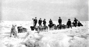 Balto: How One Heroic "Scrub Dog" Saved An Entire Town