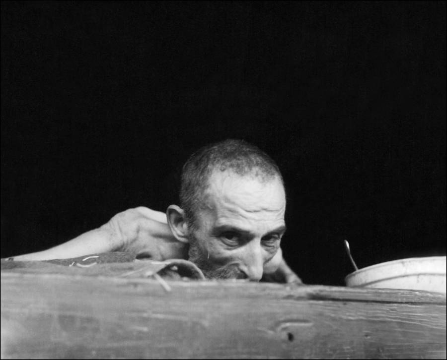 Holocaust Photos: 44 Heartrending Images Of Tragedy And Perseverance