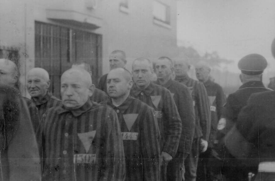 Holocaust Photos: 44 Heartrending Images Of Tragedy And Perseverance