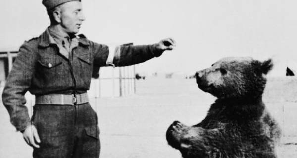How Wojtek The Beer-Drinking Bear Became A World War II Hero