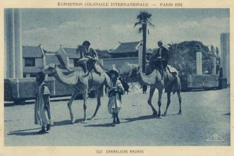 Human Zoos: 37 Appalling Photos Of Shameful Exploitation