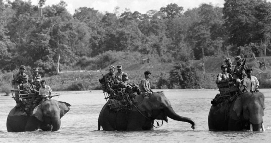 The Vietnam War As Seen By its Fearless Photographers