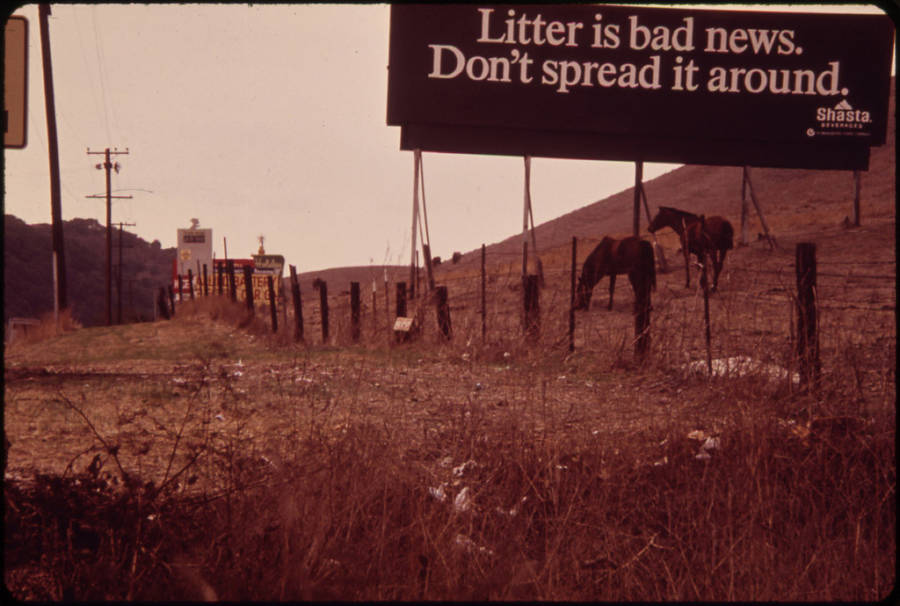 Documerica: The Photos That Changed How The U.S. Saw Pollution