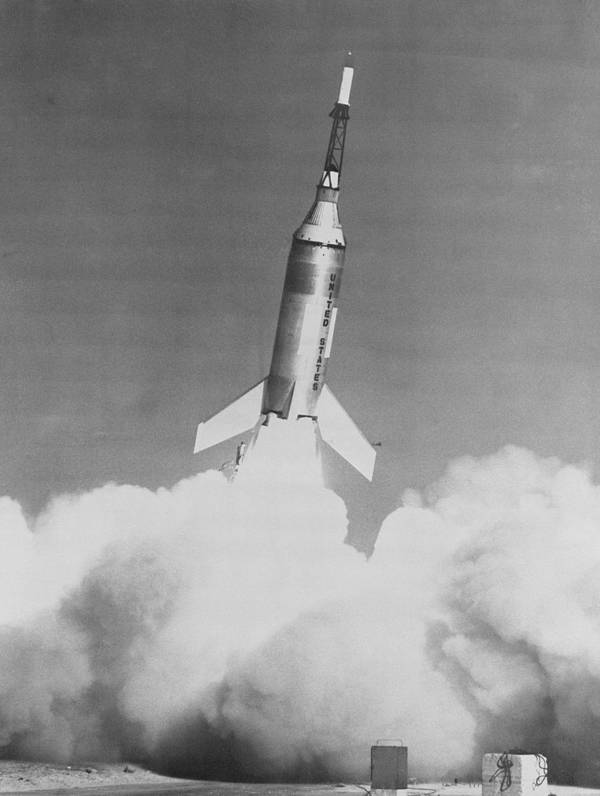 First Animals In Space: Astounding Photos And Stories