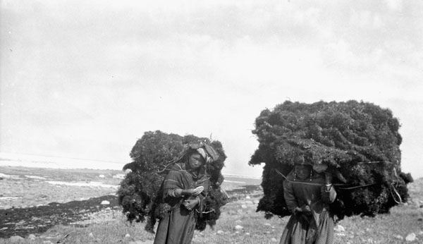 See The Inuit People And Culture Before Their Forced Relocation