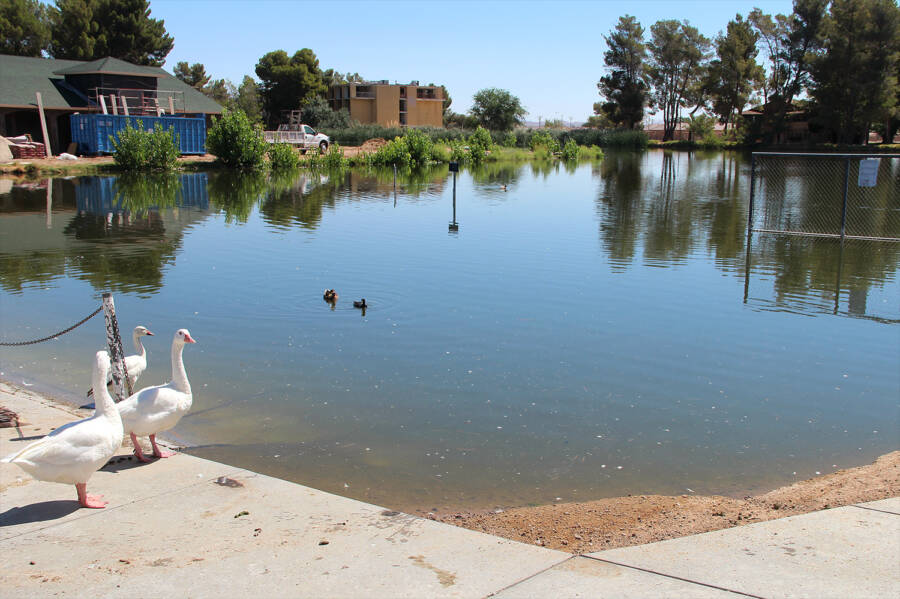 California City, The Ghost Town That Was Meant To Rival L.A.