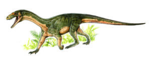 Discovery Of Oldest-Known Dinosaur Relative Is Changing Everything ...