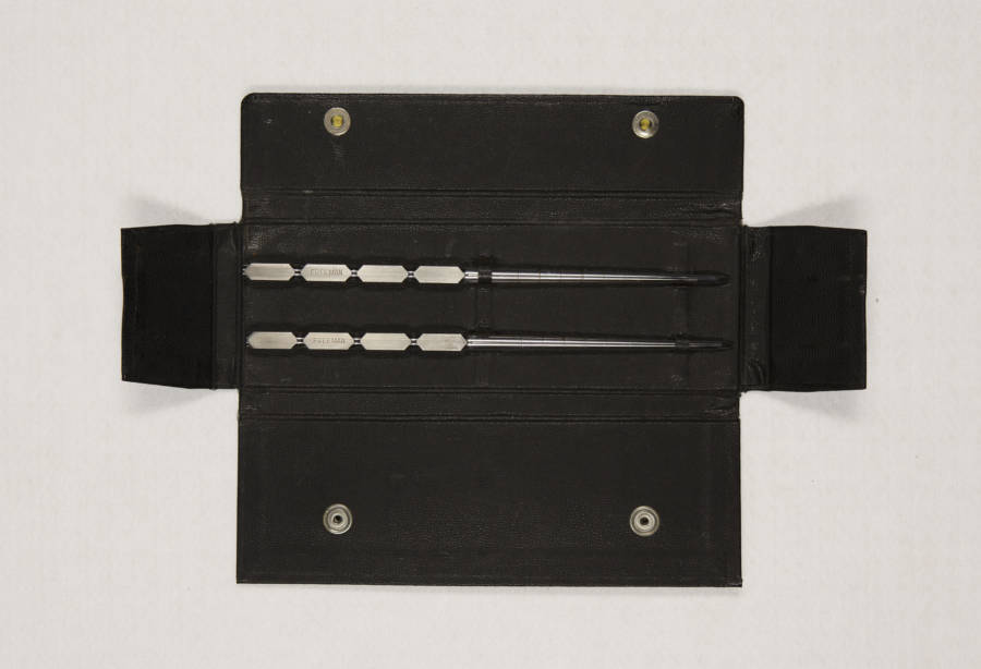 Walter Freeman, The Doctor Who Popularized The Lobotomy