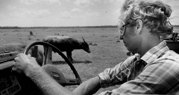 Rod Ansell, The Tragic Tale Of The Real-Life Crocodile Dundee