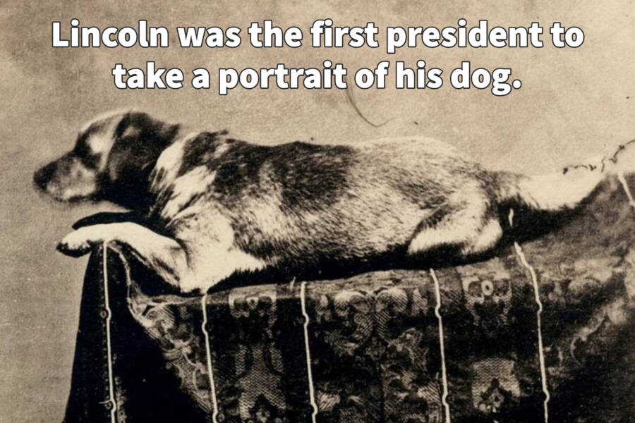 33 Abraham Lincoln Facts That Show A Different Side Of 'Honest Abe'