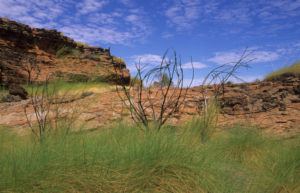 Rod Ansell, The Tragic Tale Of The Real-Life Crocodile Dundee