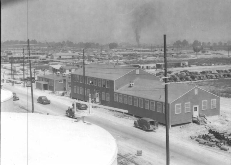 Mothman Of West Virginia: The Terrifying True Story