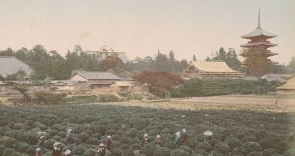 Imperial Japan: 50 Photos That Reveal What Life Was Like