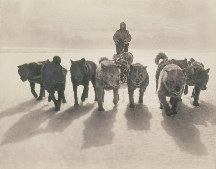 Antarctic Expeditions: 33 Breathtaking Early 20th Century Images